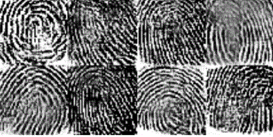 Biometric Security: Computers Create 'Master Fingerprints' That Can ...